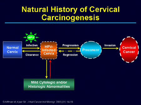Preventing Cervical Cancer and Other HPV-Related Diseases