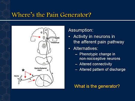 Novel Approaches to the Understanding and Treatment of Neuropathic Pain