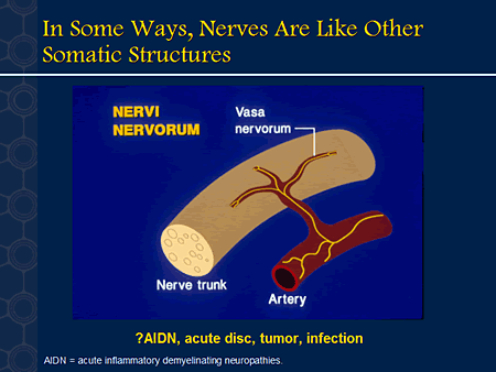 Novel Approaches to the Understanding and Treatment of Neuropathic Pain