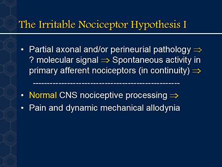 Novel Approaches to the Understanding and Treatment of Neuropathic Pain
