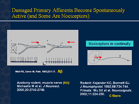 Novel Approaches to the Understanding and Treatment of Neuropathic Pain