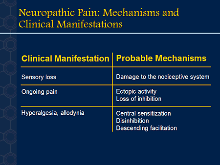 Novel Approaches to the Understanding and Treatment of Neuropathic Pain