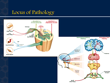 Novel Approaches to the Understanding and Treatment of Neuropathic Pain