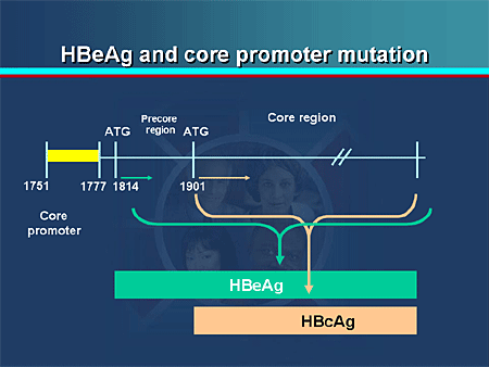 Chronic Hepatitis B: Refining Management Approaches and Addressing the ...