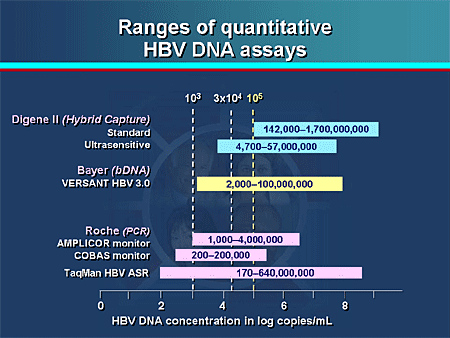 Chronic Hepatitis B: Refining Management Approaches and Addressing the ...