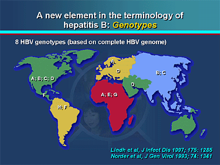 Chronic Hepatitis B: Refining Management Approaches and Addressing the ...