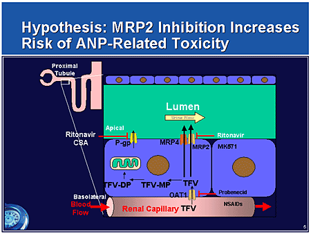 NRTIs and NNRTIs: Interactions With Other Antiretrovirals