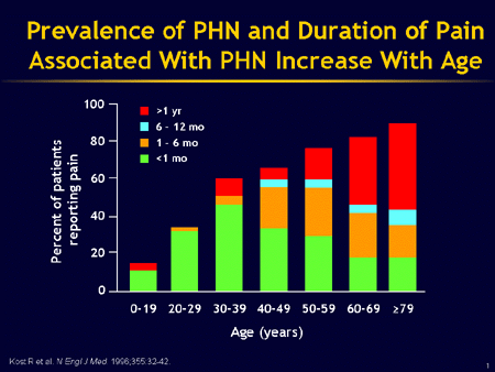 Reducing the Public Health Burden of Herpes Zoster and Postherpetic ...