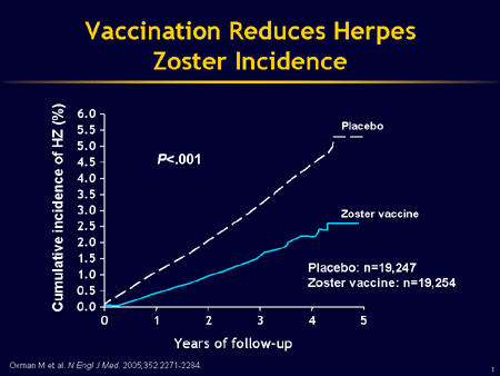 Reducing the Public Health Burden of Herpes Zoster and Postherpetic ...