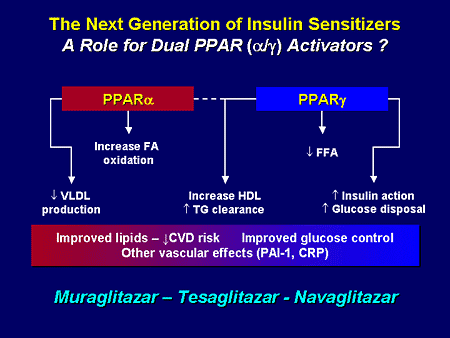 The Metabolic Syndrome: Etiology, Controversies, and Emerging Therapies