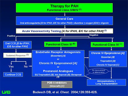 PAH -- Caught in the Clinical Crossfire: A Vibrant Debate