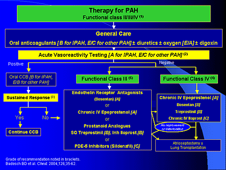 PAH -- Caught in the Clinical Crossfire: A Vibrant Debate