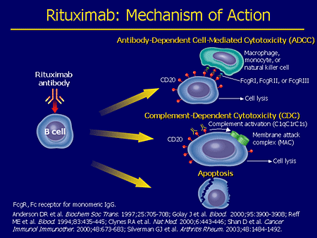B-Cell Targeted Therapies: The Future of RA Targeted Management