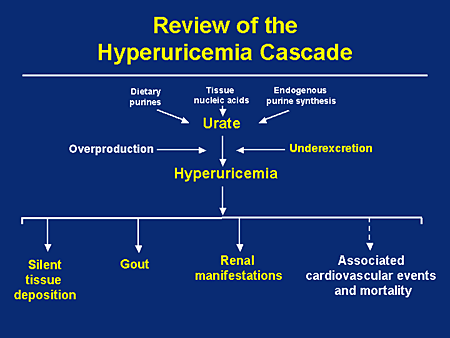 Hyperuricemia and Gout: New Clinical Insights and Emerging Treatments