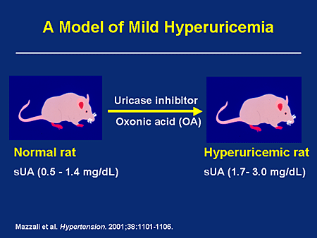 Hyperuricemia and Gout: New Clinical Insights and Emerging Treatments