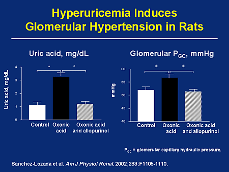 Hyperuricemia and Gout: New Clinical Insights and Emerging Treatments