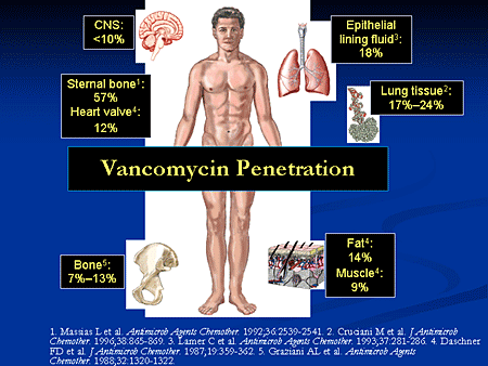 Evaluating Strategies to Improve Patient Outcomes: Community-Acquired ...