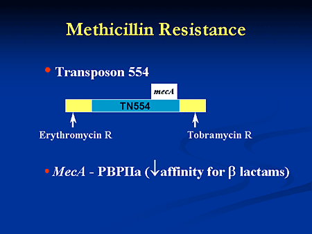 Evaluating Strategies to Improve Patient Outcomes: Community-Acquired ...