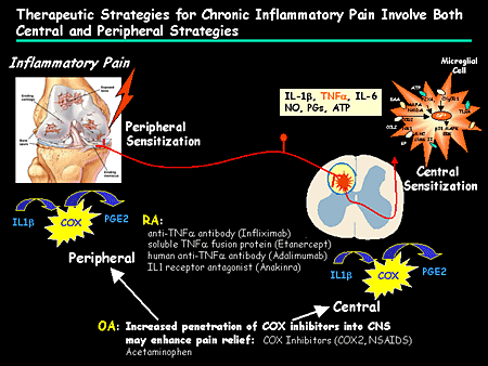 Challenging Perceptions in Chronic Pain