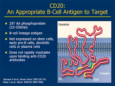 B-Cell Targeted Therapies: From Theory to Practice