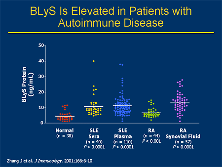 B-Cell Targeted Therapies: From Theory to Practice