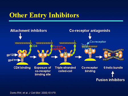 Management of Treatment-Experienced Patients