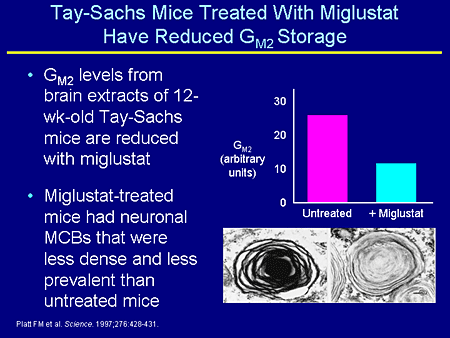 Small Molecule Inhibition for Gaucher Disease: Emerging Role of ...