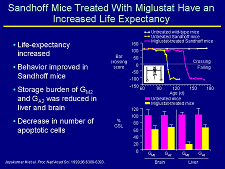Small Molecule Inhibition for Gaucher Disease: Emerging Role of ...