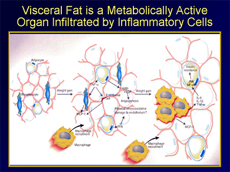 The Vascular Effects of TZDs: Stabilizing Plaque in an Unstable Environment