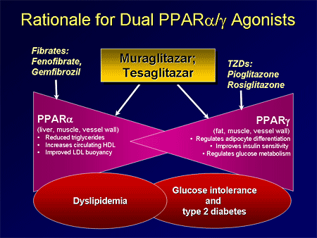 The Vascular Effects of TZDs: Stabilizing Plaque in an Unstable Environment