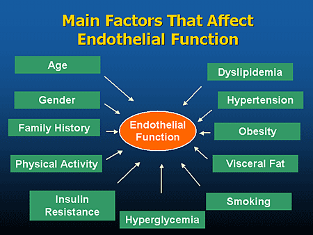 Improving Cardiovascular Outcomes: LDL and Beyond
