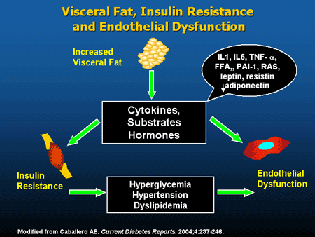Improving Cardiovascular Outcomes: LDL and Beyond