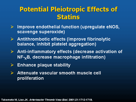 Improving Cardiovascular Outcomes: LDL and Beyond