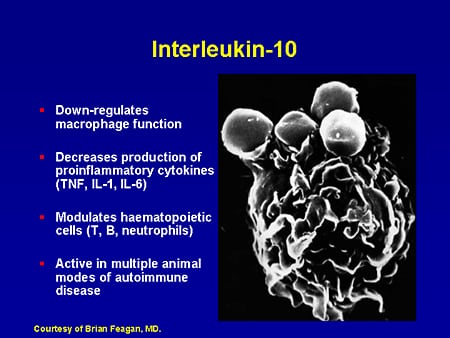 Advances in the Treatment of Crohn's Disease: From Research to Clinical ...