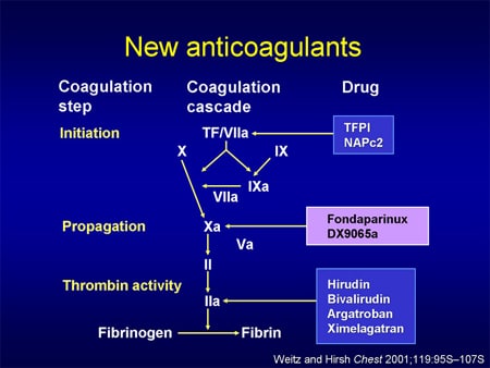 The Management of ACS in Light of Recent Trials: The Importance of Bleeding