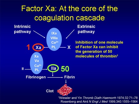 The Management of ACS in Light of Recent Trials: The Importance of Bleeding