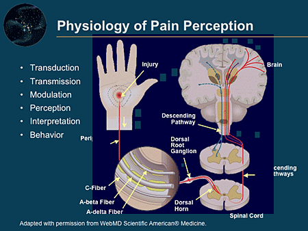 Navigating Decisions in Neuropathic Pain