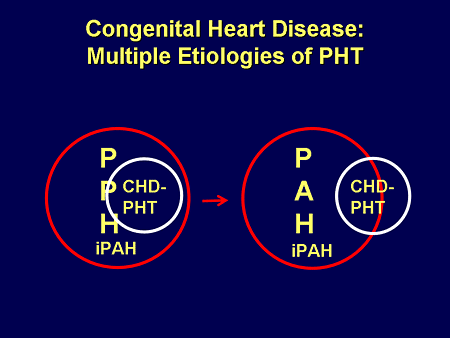 Lessons From Heart Failure for Pulmonary Arterial Hypertension (PAH)