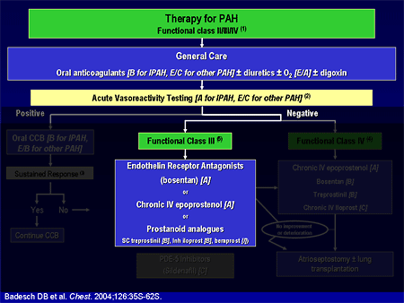 Lessons From Heart Failure for Pulmonary Arterial Hypertension (PAH)