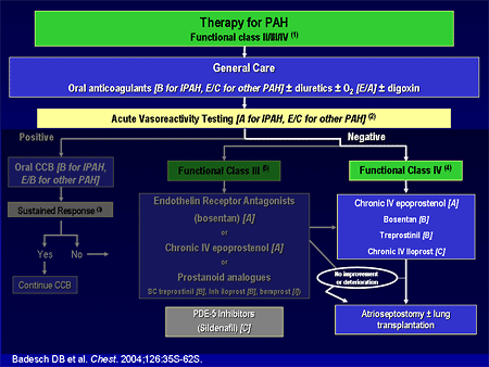 Lessons From Heart Failure for Pulmonary Arterial Hypertension (PAH)