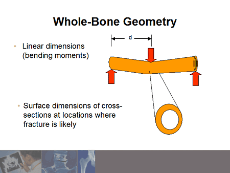 Treatment Paradigms, Challenging Concepts: Examining Biomechanics and ...