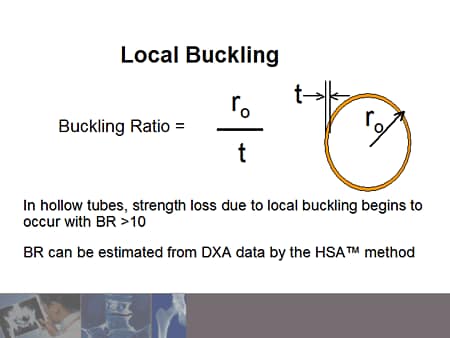 Treatment Paradigms, Challenging Concepts: Examining Biomechanics and ...