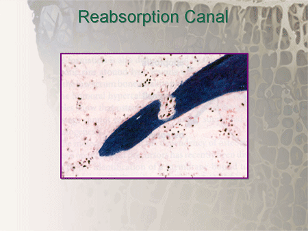 A Call to Action: Integrating Current Clinical Evidence in the ...