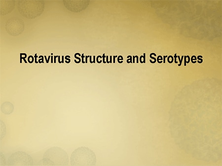 What's on the Horizon? Understanding the Disease Burden and Rising to ...