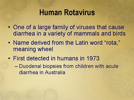 What's on the Horizon? Understanding the Disease Burden and Rising to ...