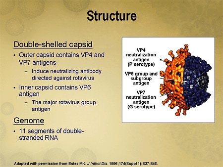 What's on the Horizon? Understanding the Disease Burden and Rising to ...