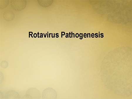 What's on the Horizon? Understanding the Disease Burden and Rising to ...