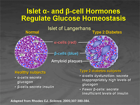 Diabetes, Glycemia and New Hormonal Paradigms: Understanding the Links