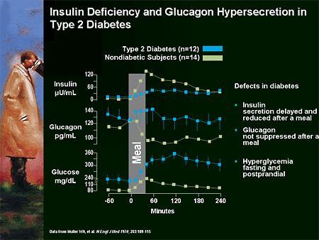 Examining the Future of Incretin Therapy