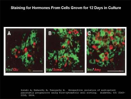 Examining the Future of Incretin Therapy